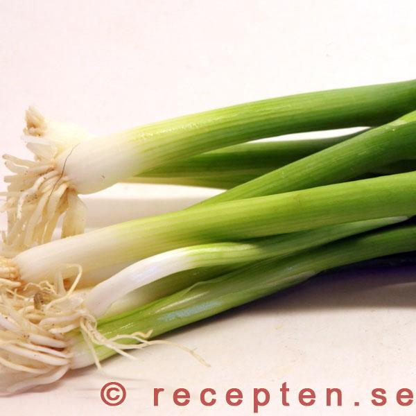Silverlök - Fakta - Recepten.se